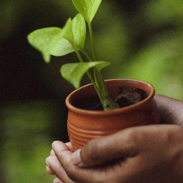 Francis Small Award | Engineering NZ
