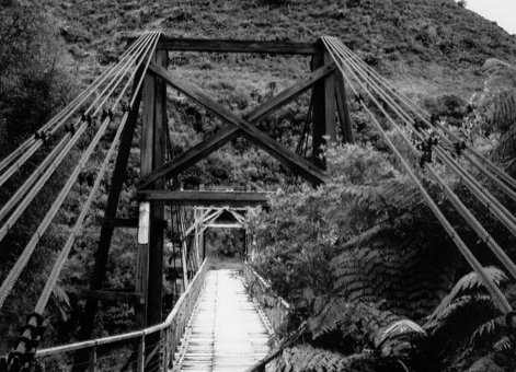 Tauranga Valley Bridge, Waioeka River | Engineering NZ