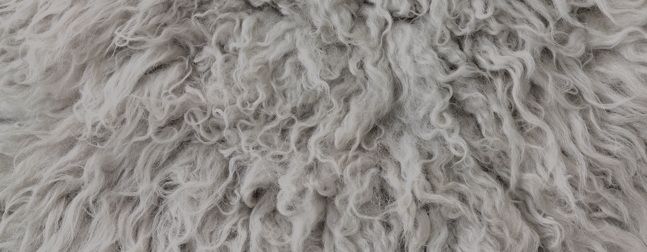 News & Insights | Engineering New Zealand